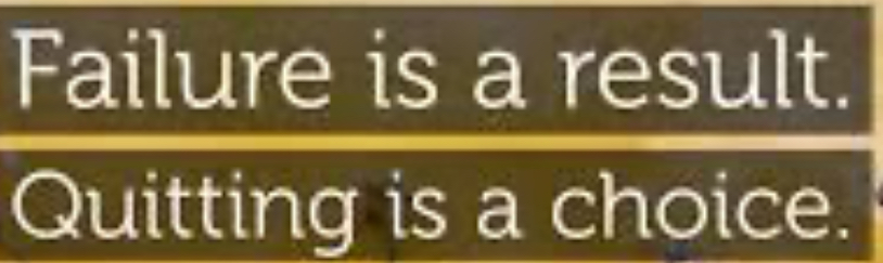 Failure vs. Quitting! – Wakime Hauser's Blog
